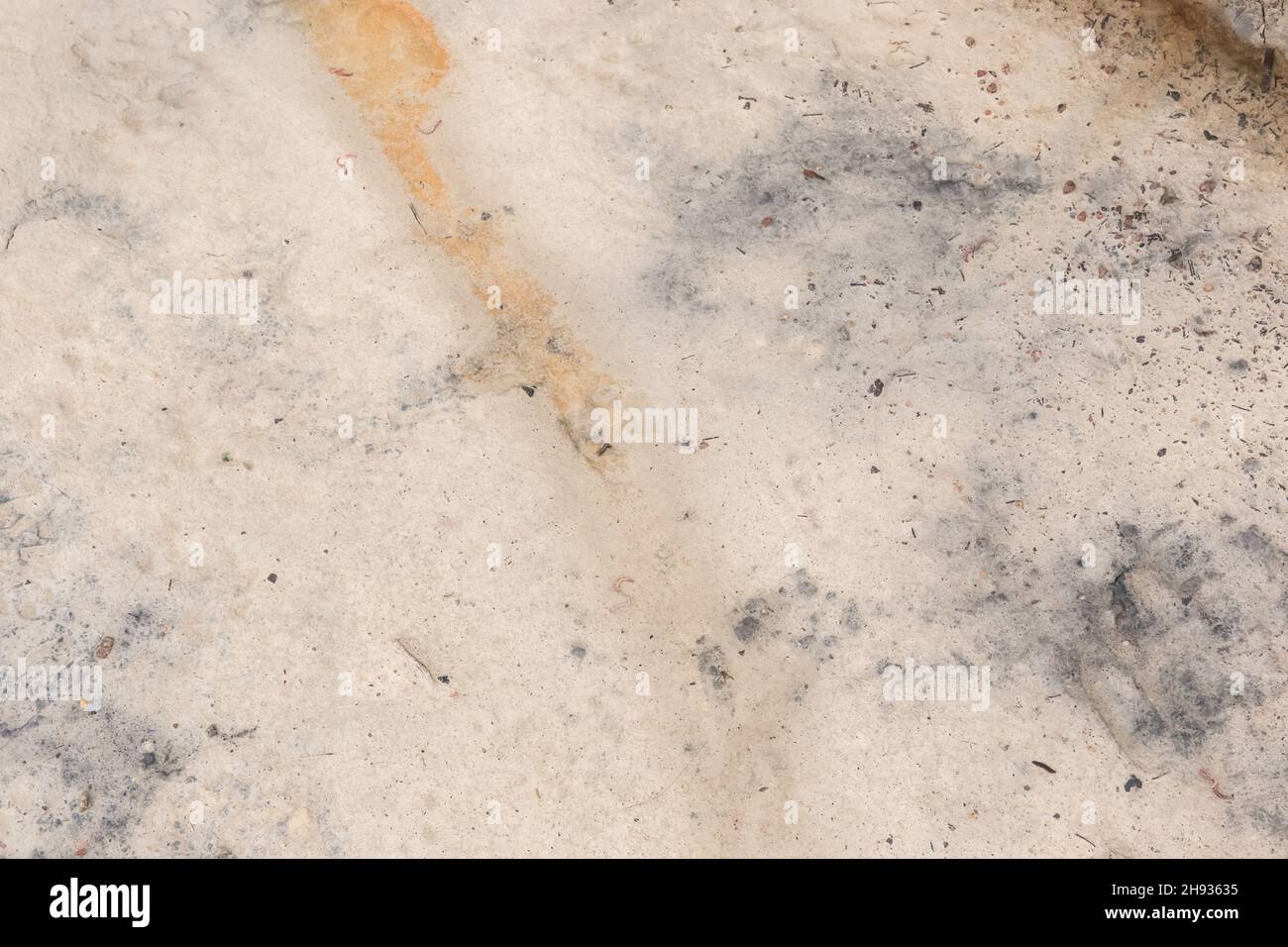 White dirty sand after draining industrial chemical waste, contaminated ...