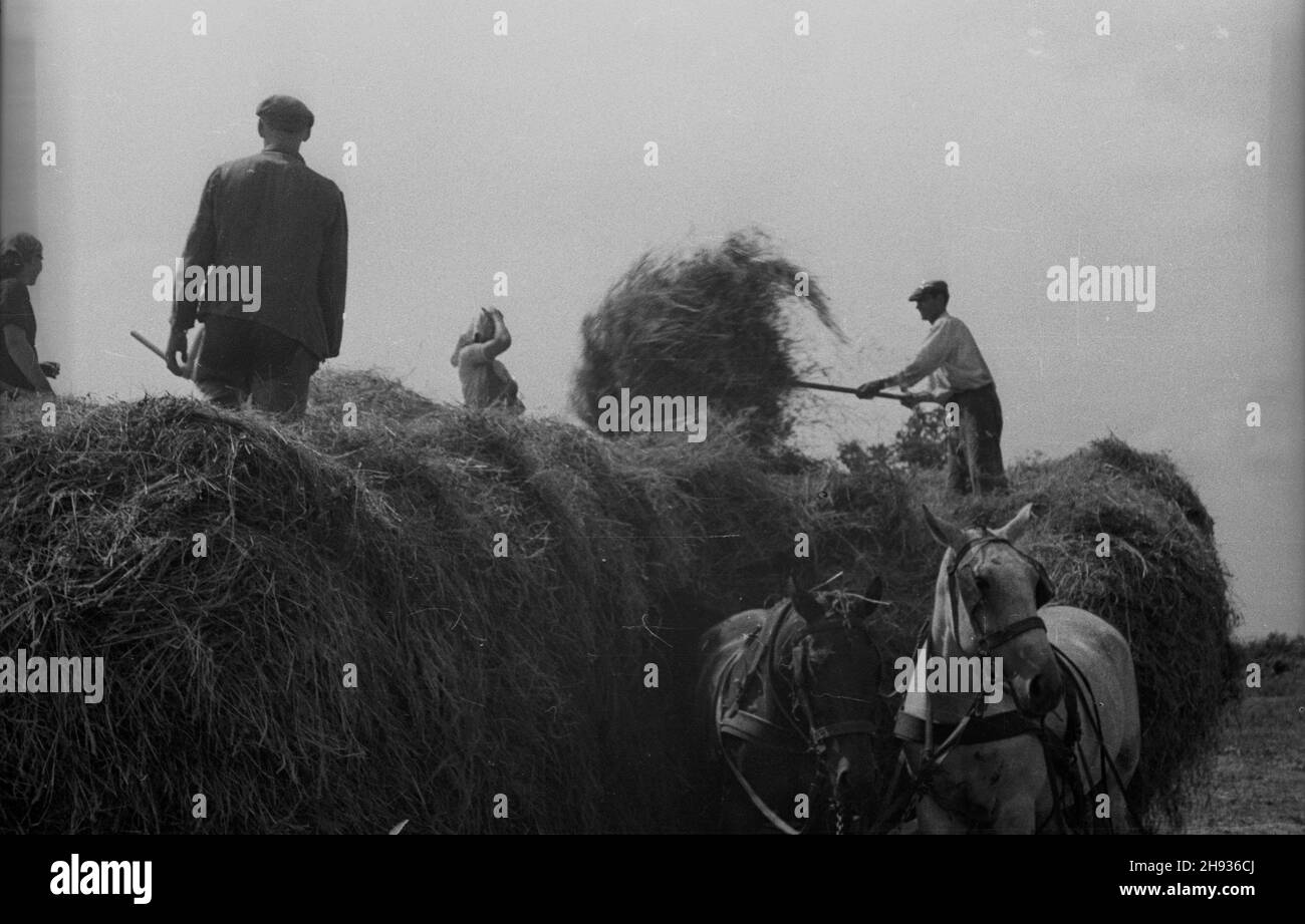 Stog siana hi-res stock photography and images - Alamy