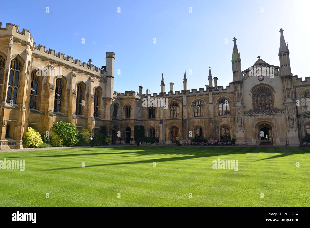 The meadow of the King's college Stock Photo - Alamy