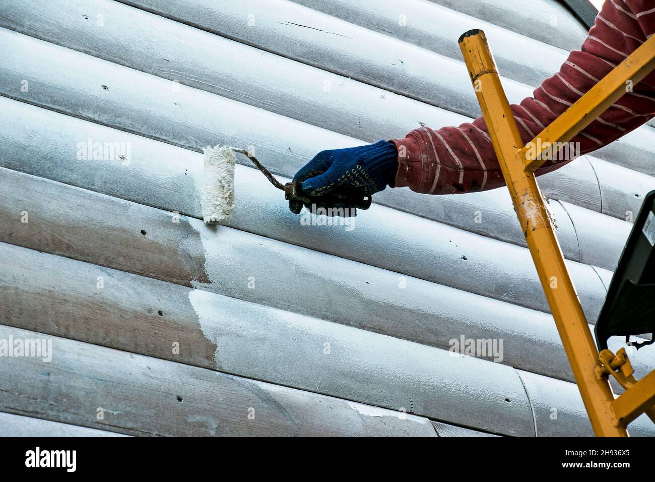 Closeup of a worker's hand painting the wall with a cushion. Painting ...