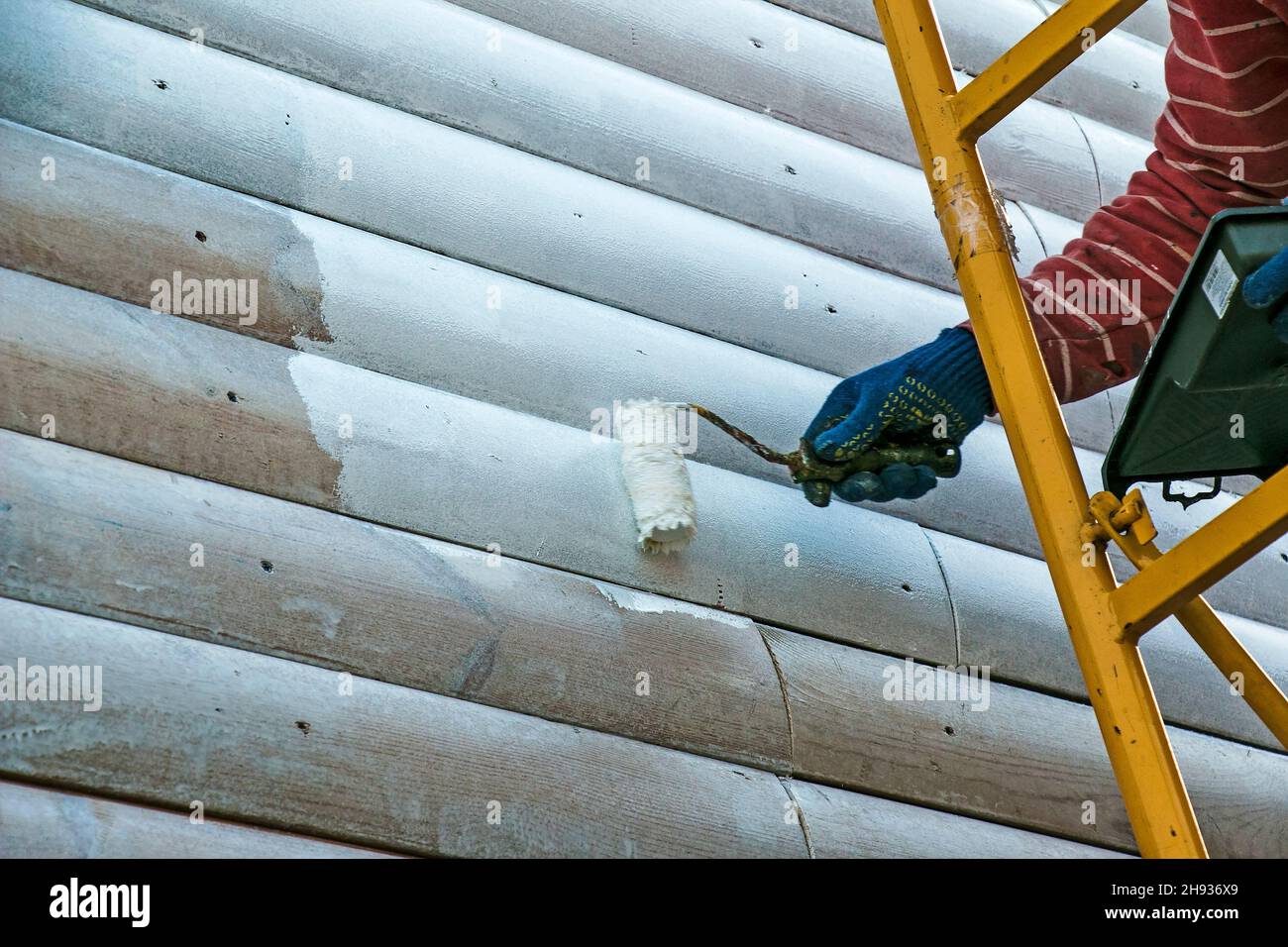 Closeup of a worker's hand painting the wall with a cushion. Painting ...