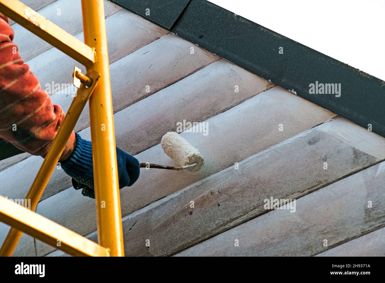 Closeup of a worker's hand painting the wall with a cushion. Painting ...