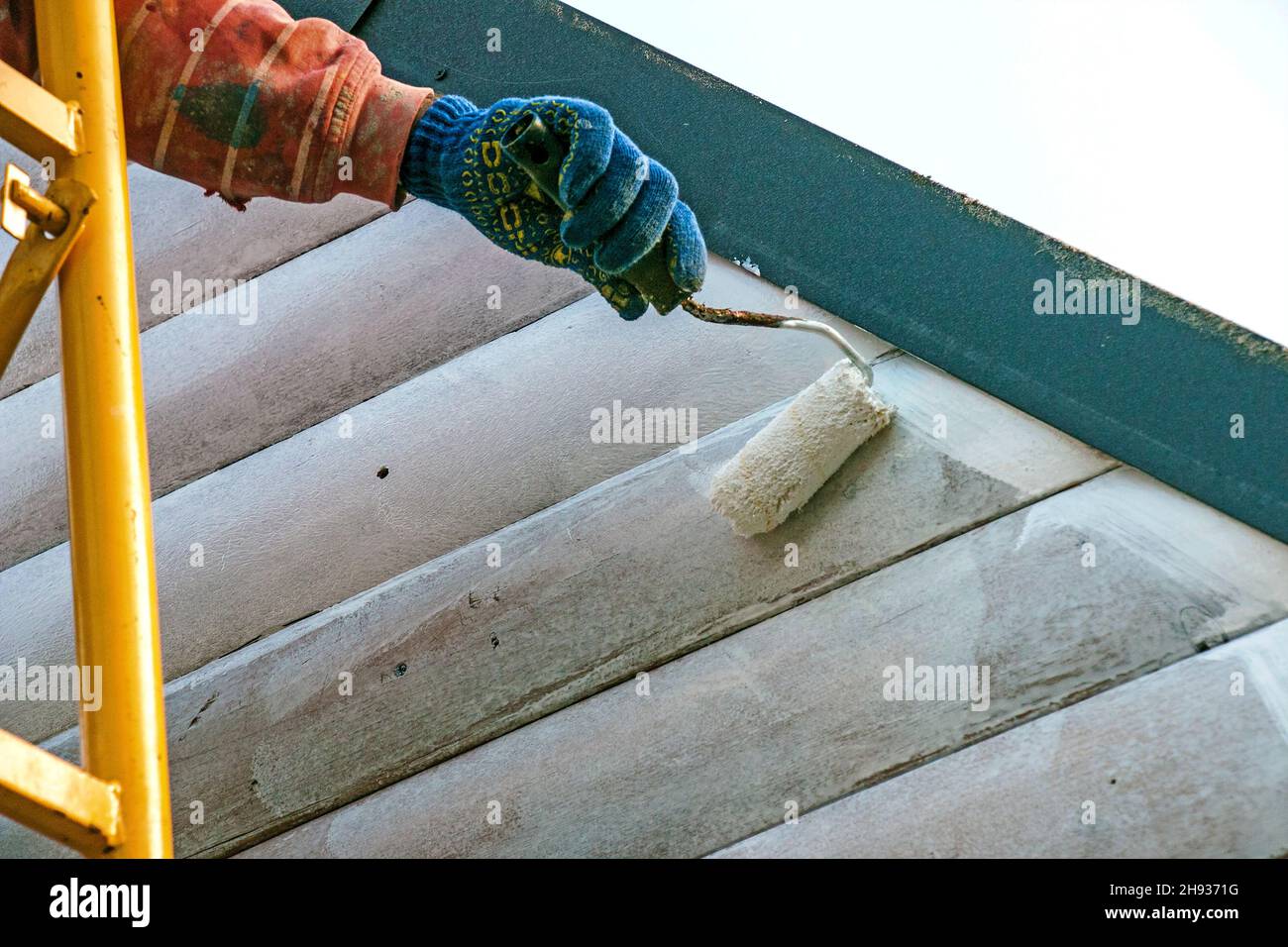 Closeup of a worker's hand painting the wall with a cushion. Painting ...