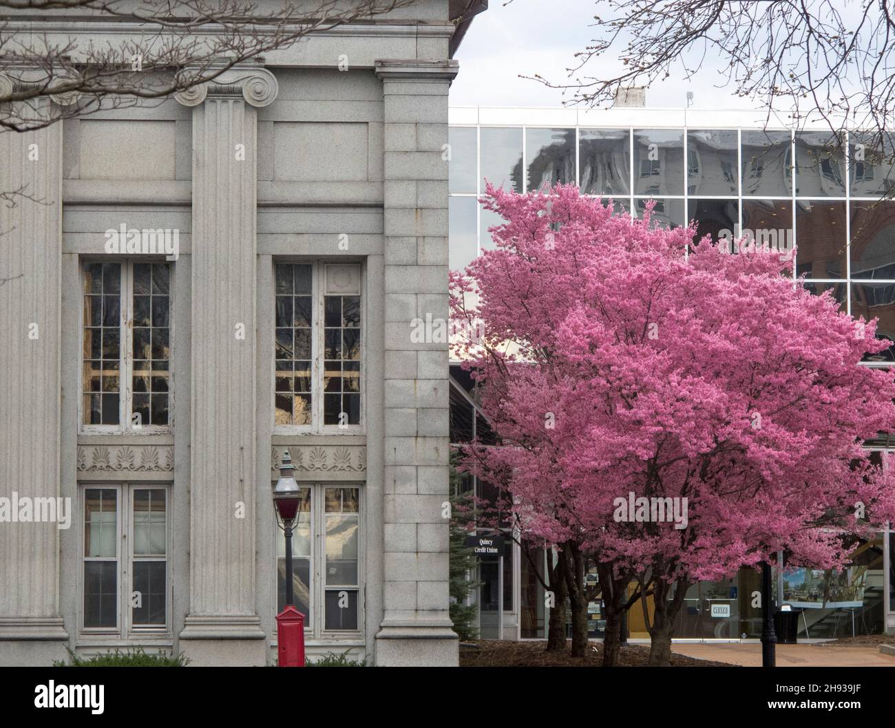 Boston city hall fountain hi-res stock photography and images - Alamy