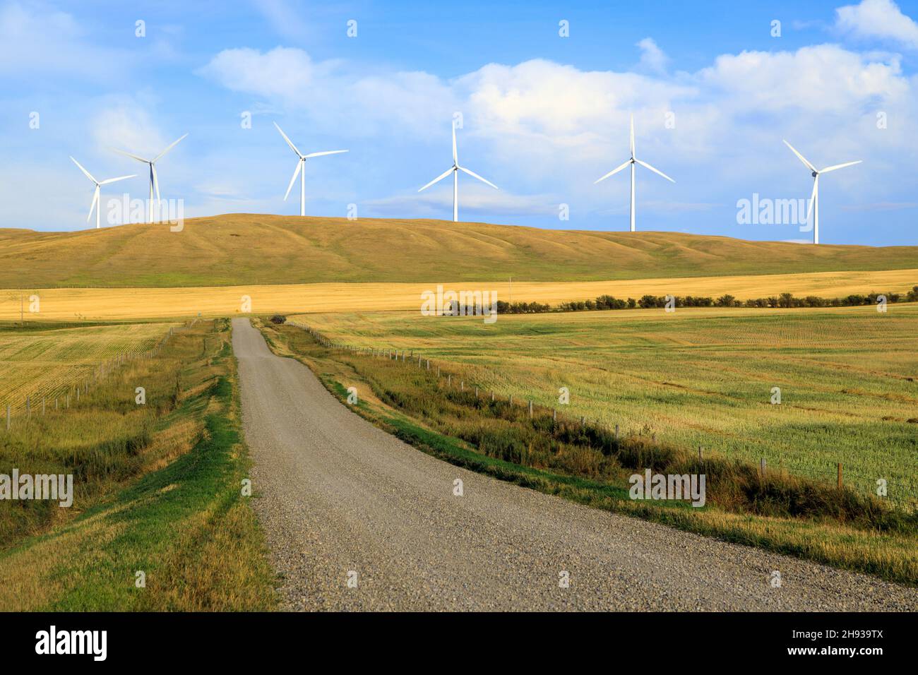 Wind power or wind energy is the use of wind turbines to generate electricity. Wind power is a ...