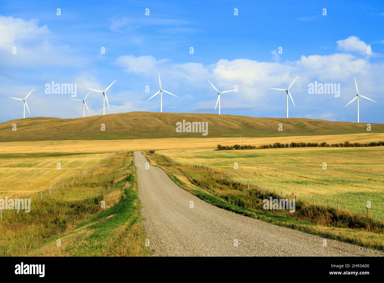 Wind power or wind energy is the use of wind turbines to generate ...