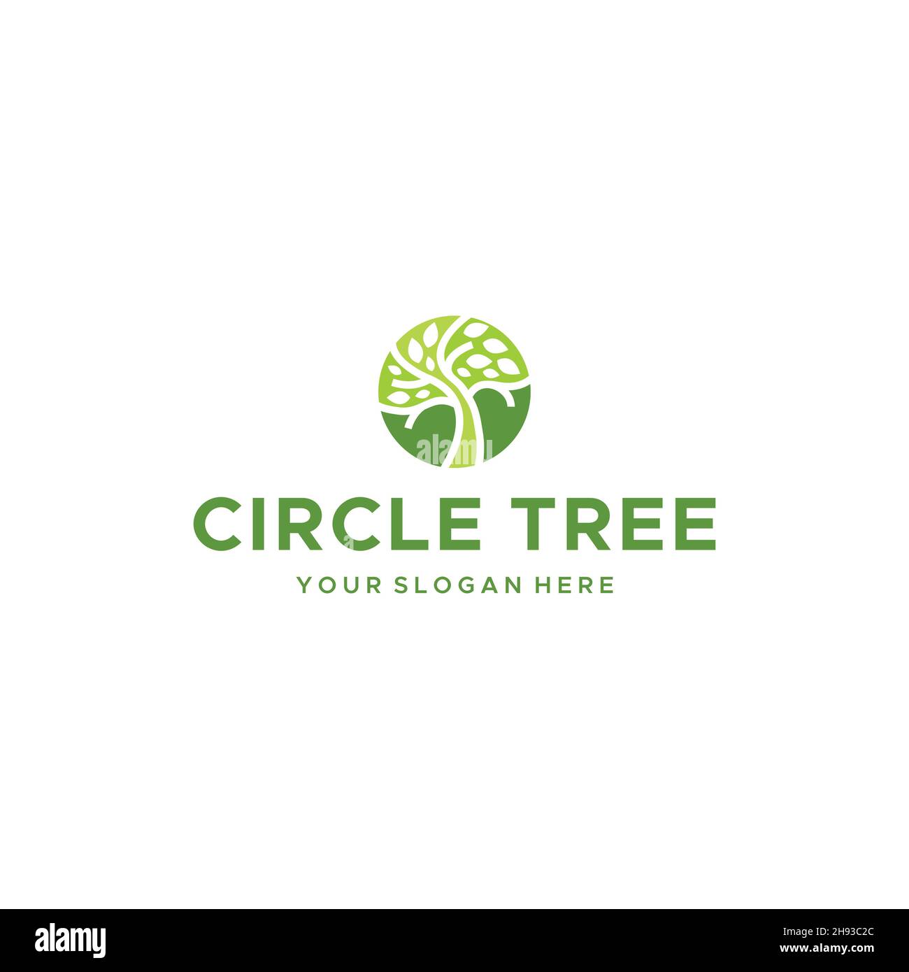 Plant and tree life circle Stock Vector Images - Alamy