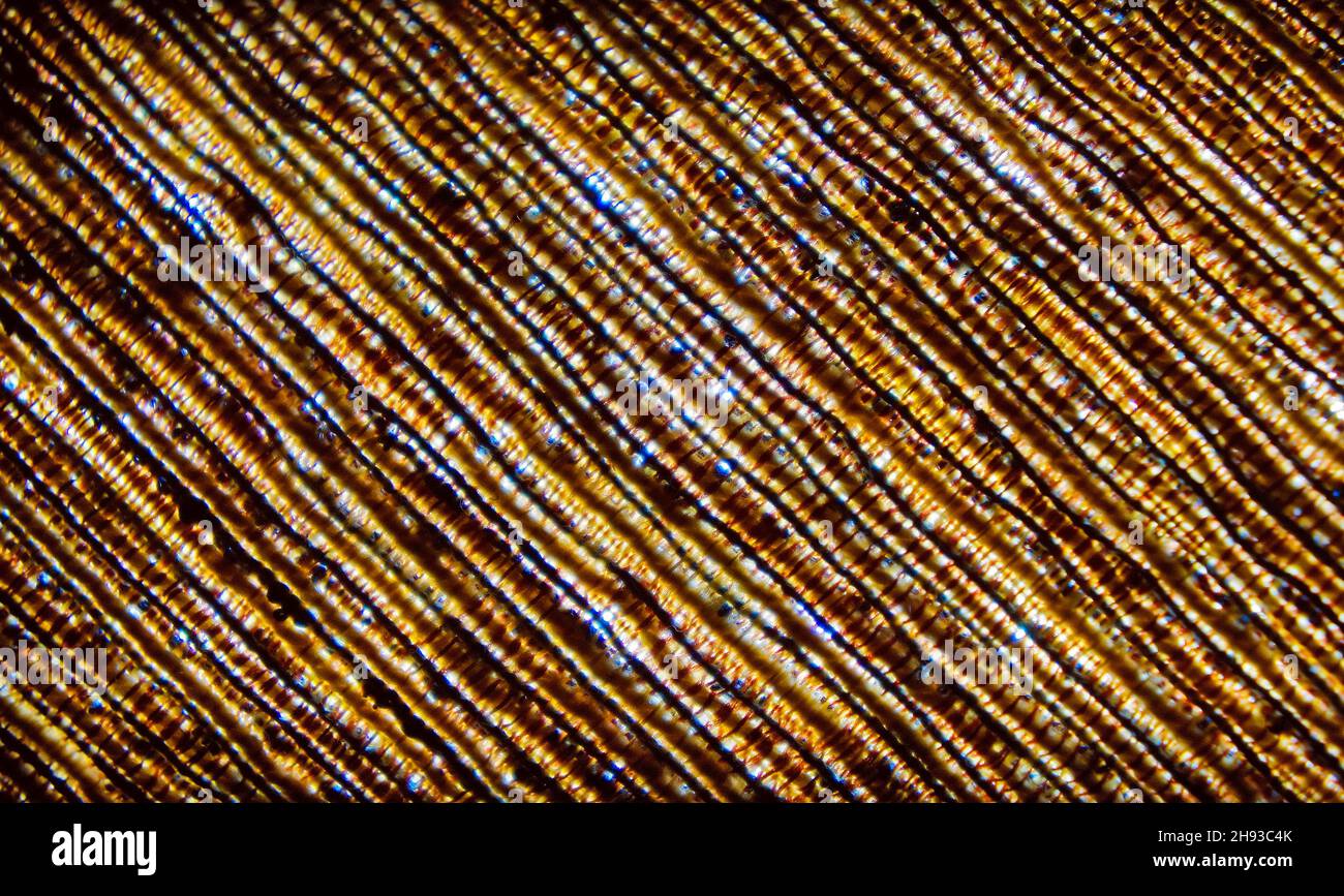 Brown woven textile background hi-res stock photography and images - Alamy