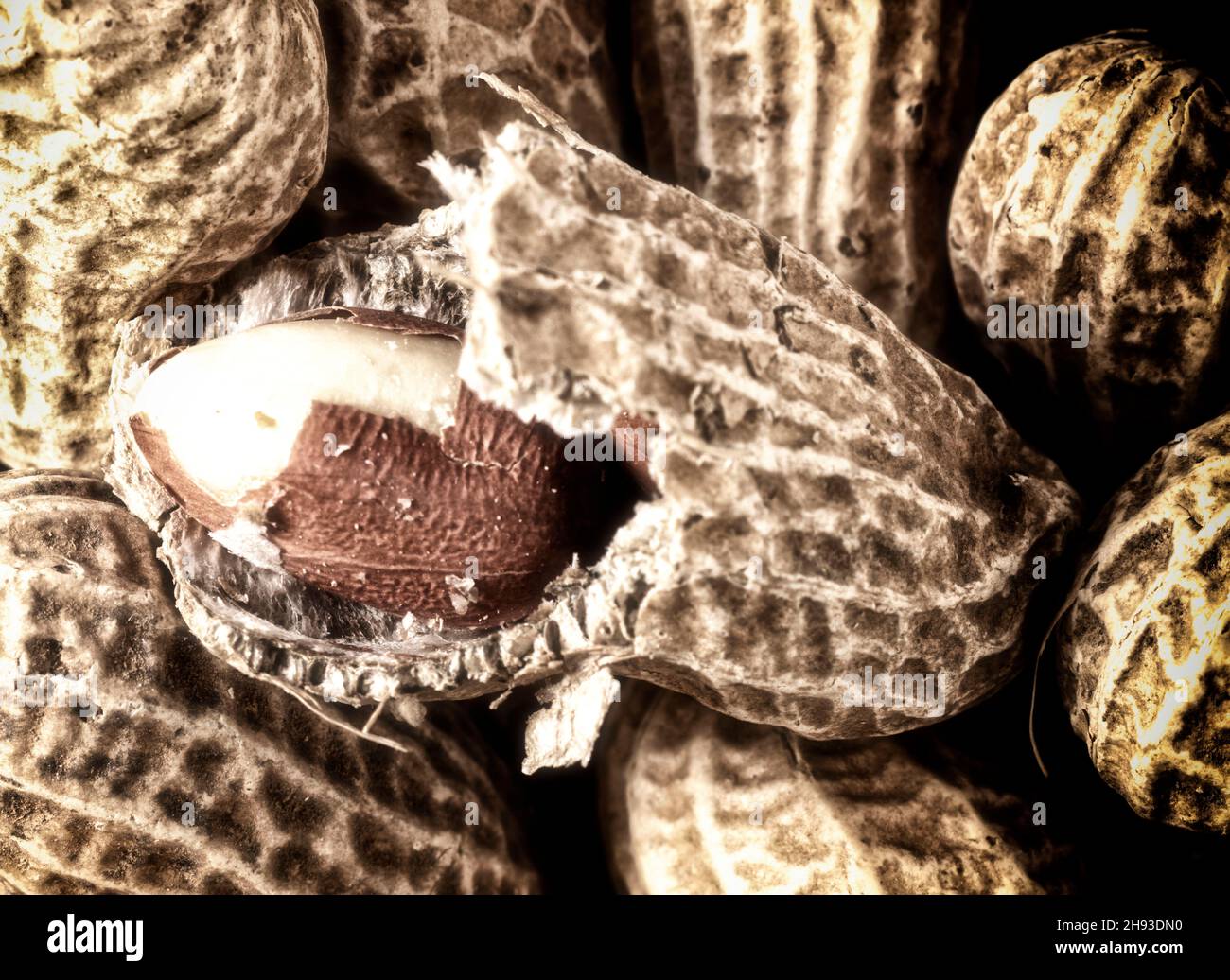Peanut, groundnut, goober, monkey nut, very close up food still life ...