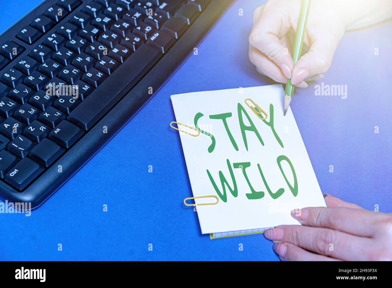 Writing displaying text Stay Wild. Internet Concept keep being you and ...