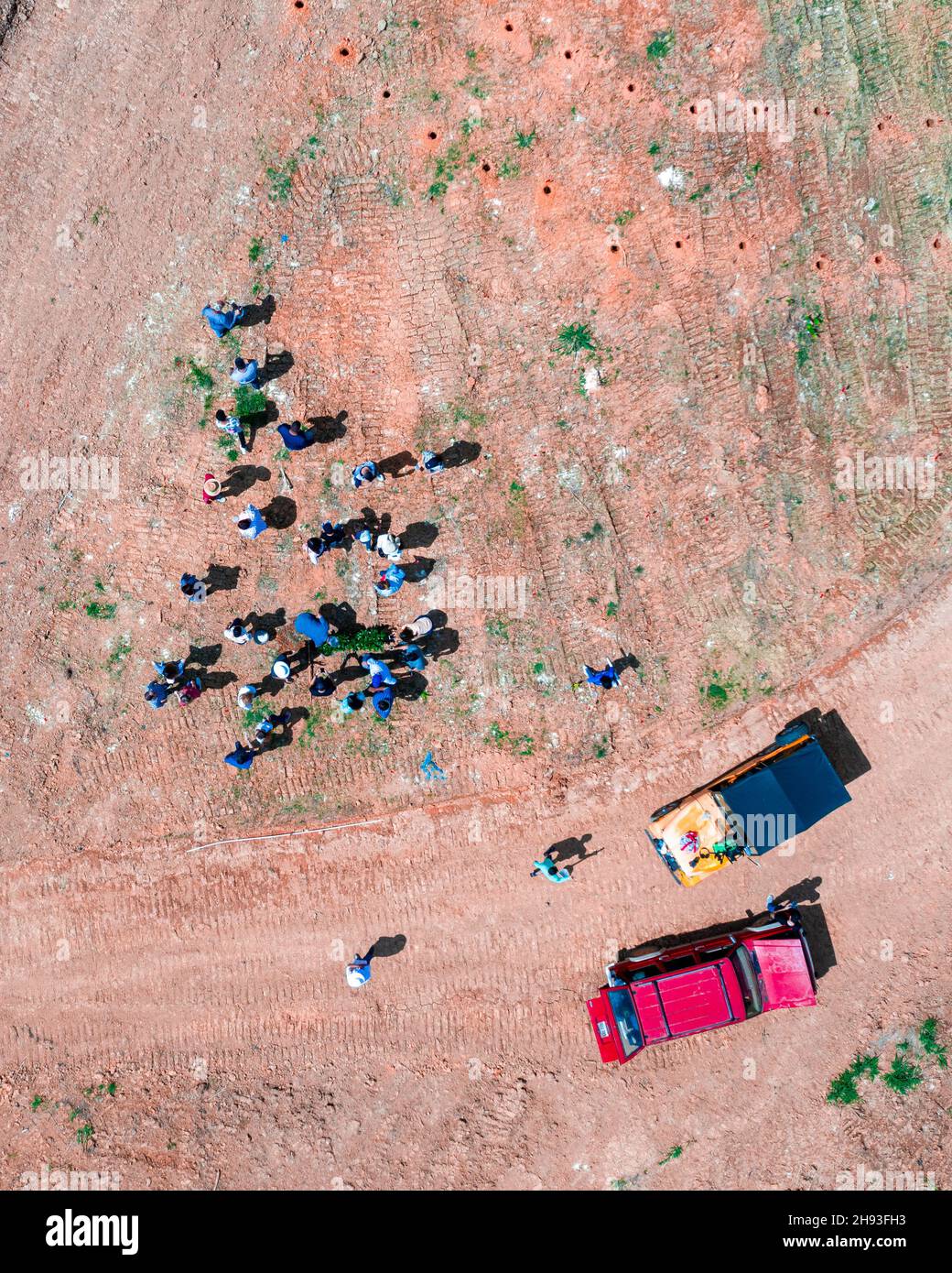 Coffee farm puerto rico hi-res stock photography and images - Alamy