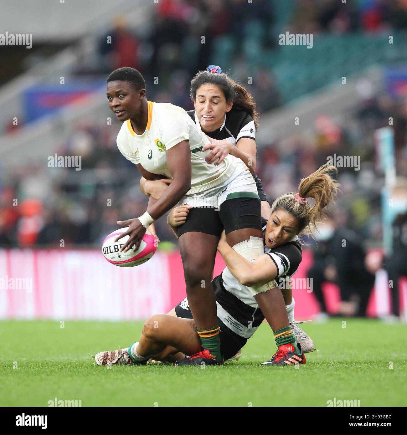 Springbok xv hi-res stock photography and images - Alamy