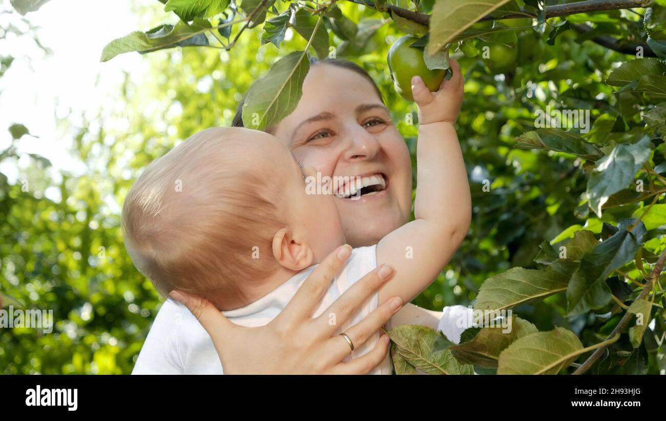 People reaching fruit on tree hi-res stock photography and images - Alamy