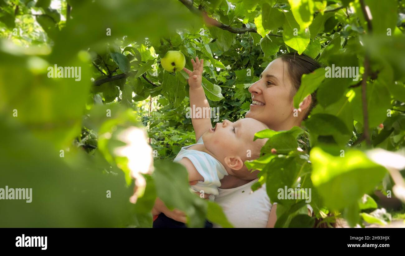 People reaching fruit on tree hi-res stock photography and images - Alamy