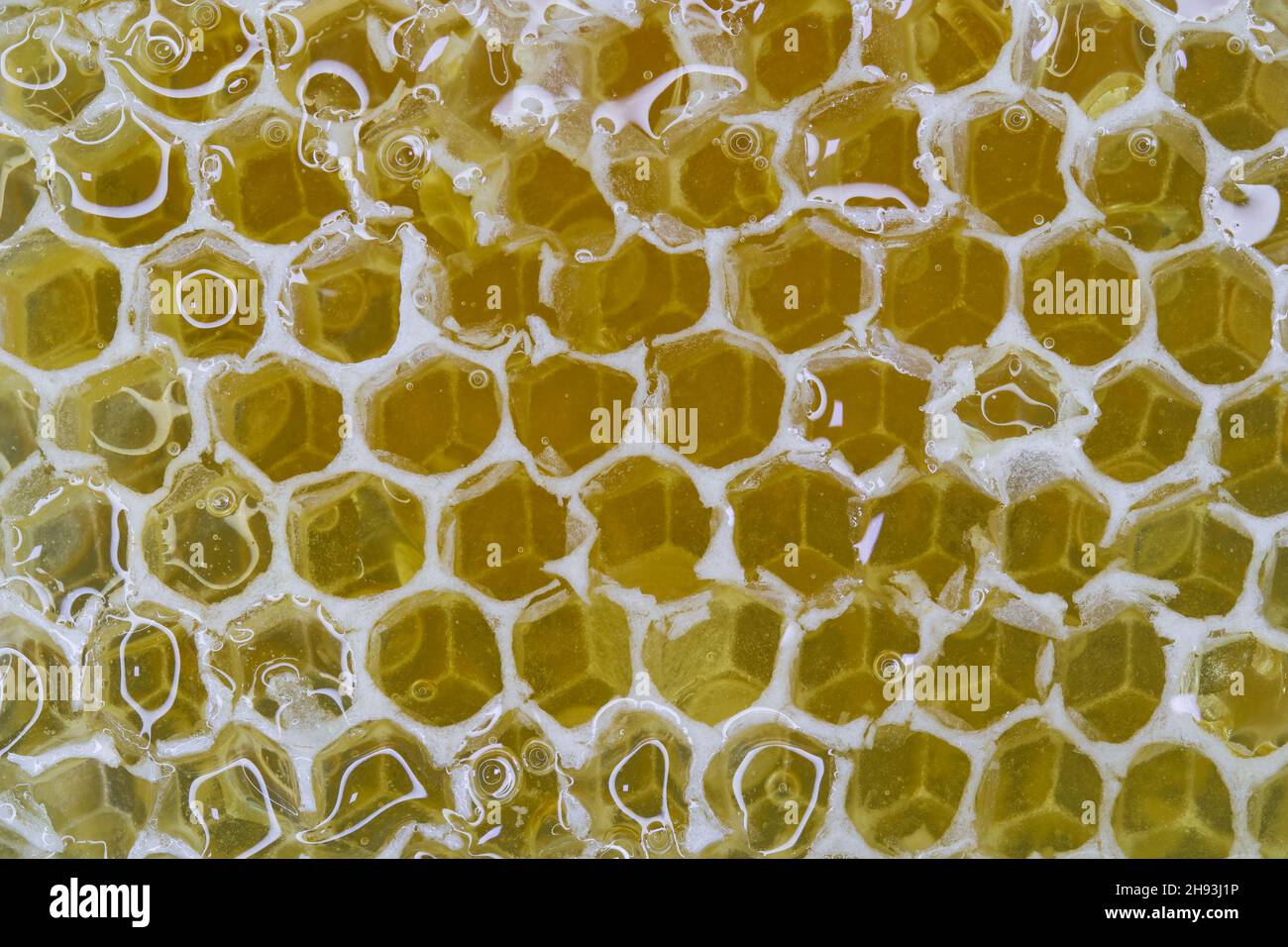 Beehive filled golden honey hi-res stock photography and images - Alamy