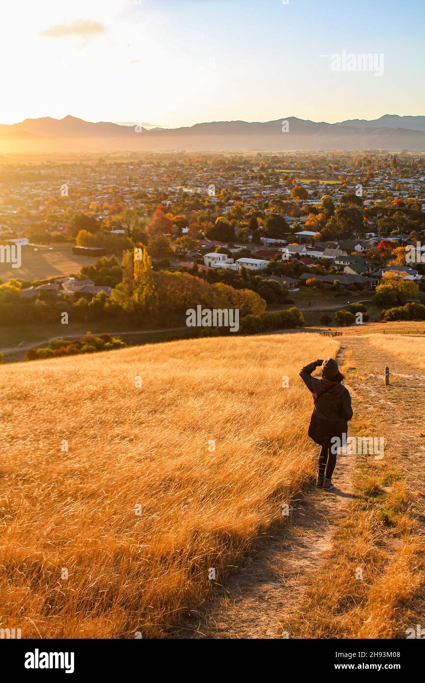 Back view of a female hiking down the golden hill while enjoying the ...