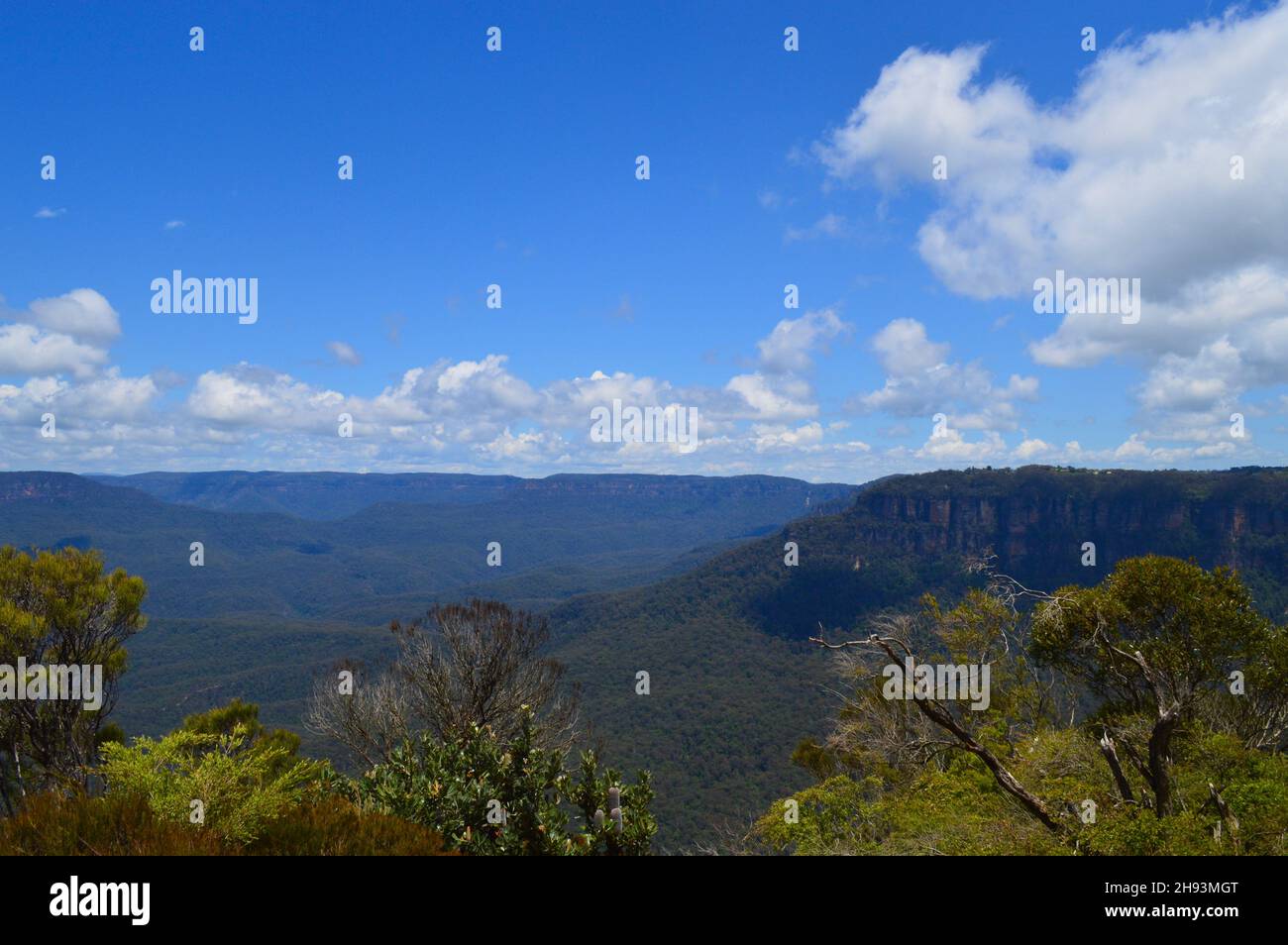 A view of the Jamison Valley in the Blue Mountains of Australia Stock ...