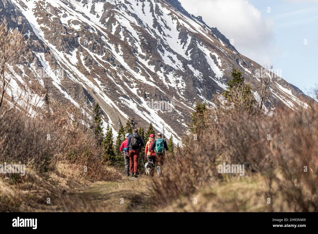 Group walking mountain spring hi-res stock photography and images - Alamy