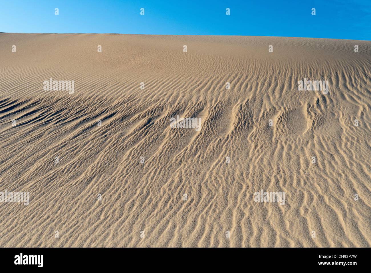 Sand wind ripples hi-res stock photography and images - Alamy