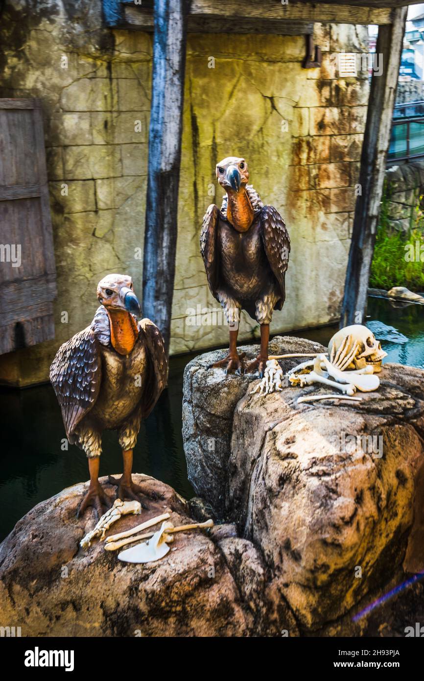 Treasure island amusement park hi-res stock photography and images - Alamy