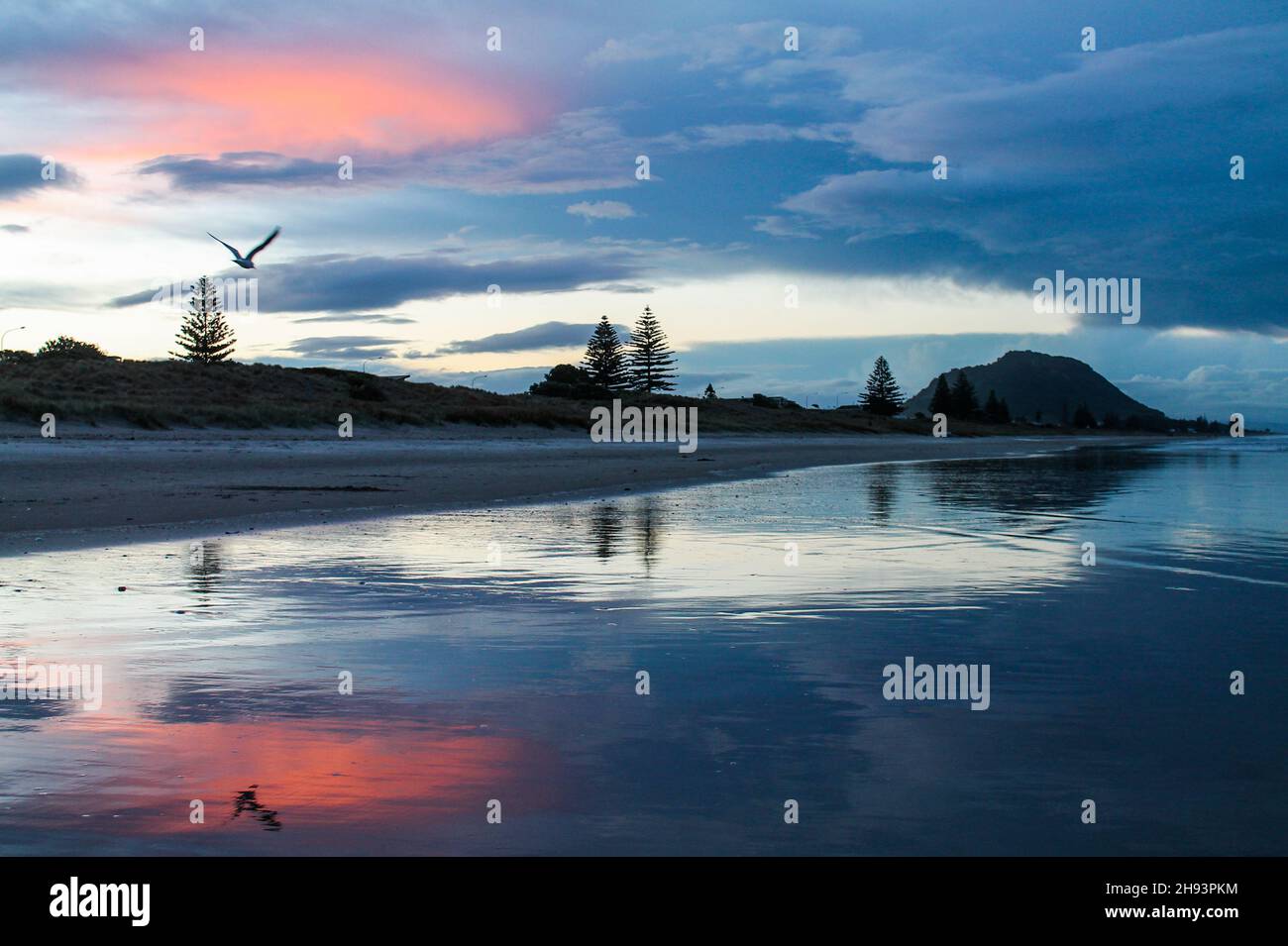 Beautiful view of the calm sea gleaming under the sunset Stock Photo ...