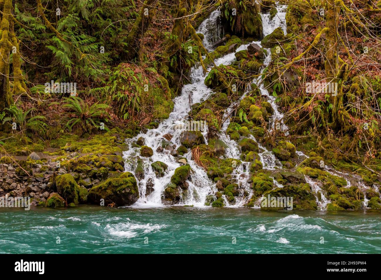 Waterfall entering the South Fork Skokomish River in Olympic National ...