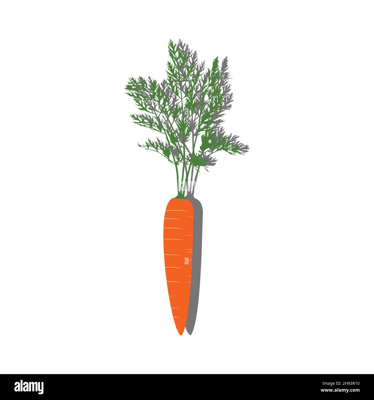 Carrot top Stock Vector Images - Alamy
