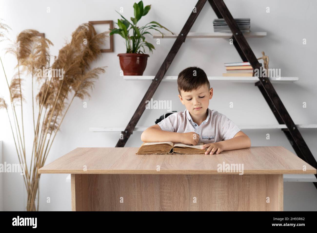Teenager reading book classroom hi-res stock photography and images - Alamy