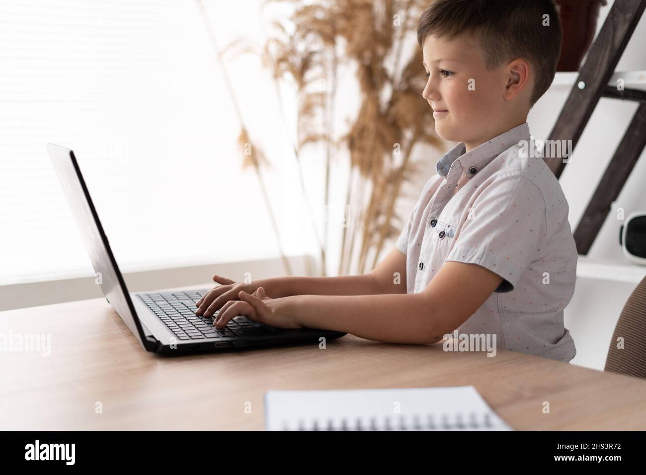 Side view of a schoolboy at home schooled working on a laptop typing ...