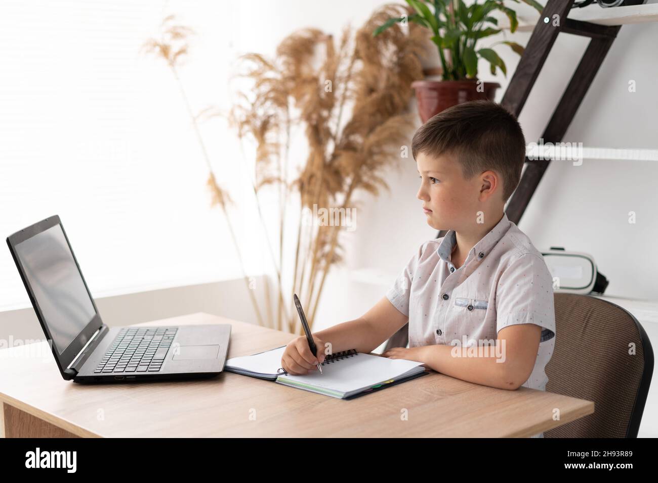 Schoolboy pupil hi-res stock photography and images - Alamy