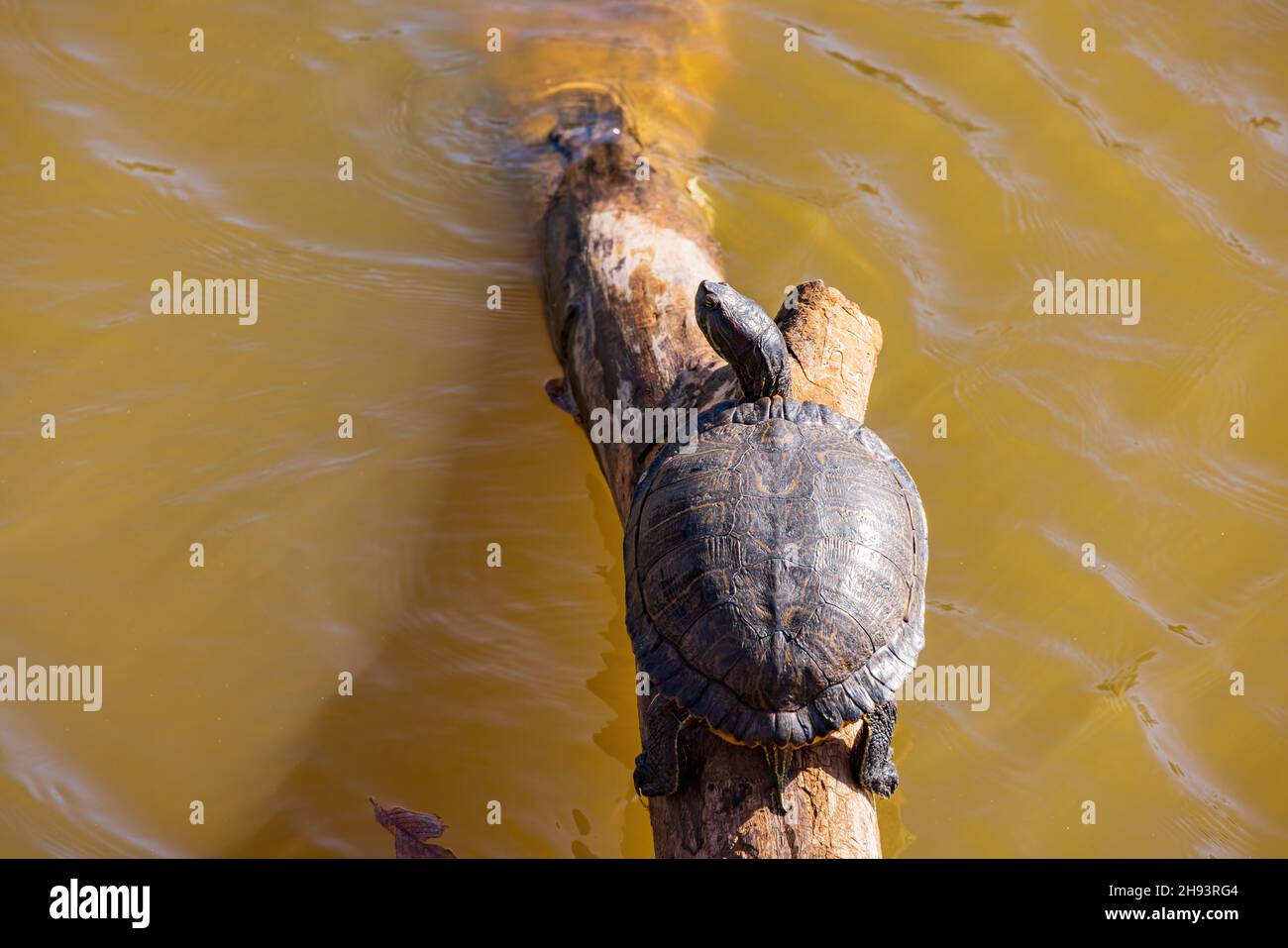 Exterior shot enjoy hi-res stock photography and images - Alamy