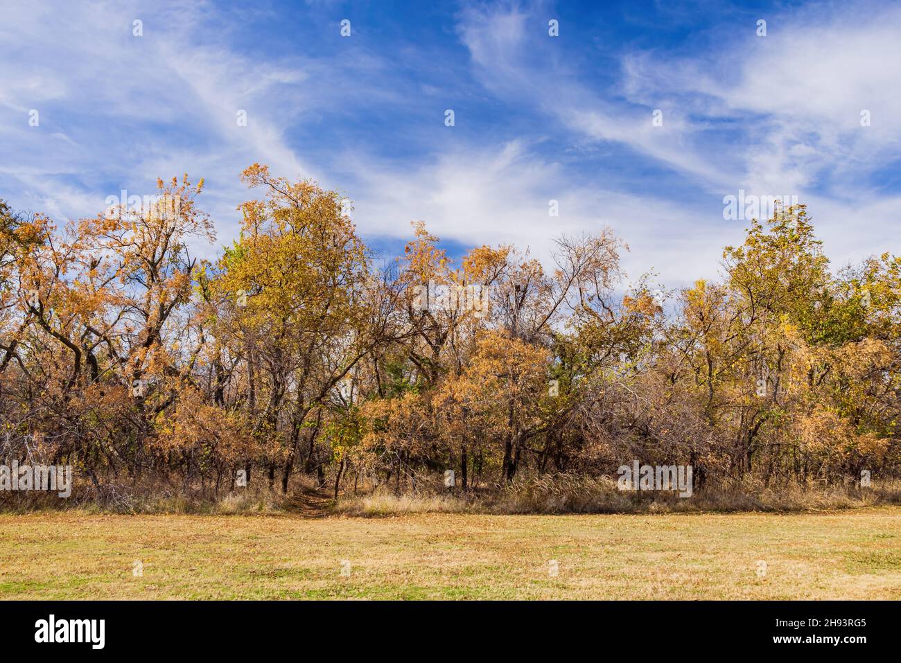 The bluff city hi-res stock photography and images - Alamy