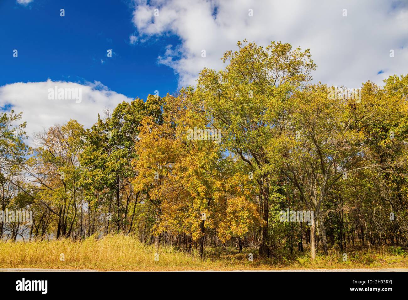 Fall color near the Eagle view Trail at Oklahoma Stock Photo - Alamy