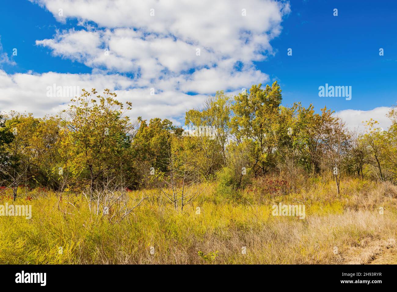 Fall color near the Eagle view Trail at Oklahoma Stock Photo - Alamy
