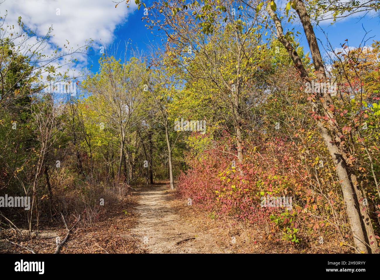 Fall color near the Eagle view Trail at Oklahoma Stock Photo - Alamy