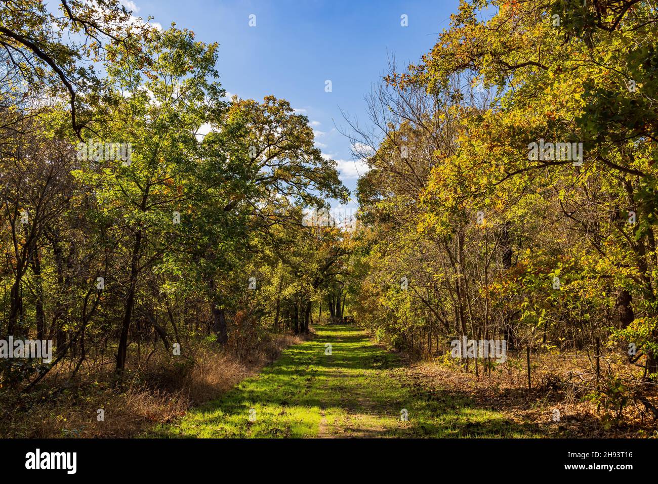 Fall color near the Eagle view Trail at Oklahoma Stock Photo - Alamy