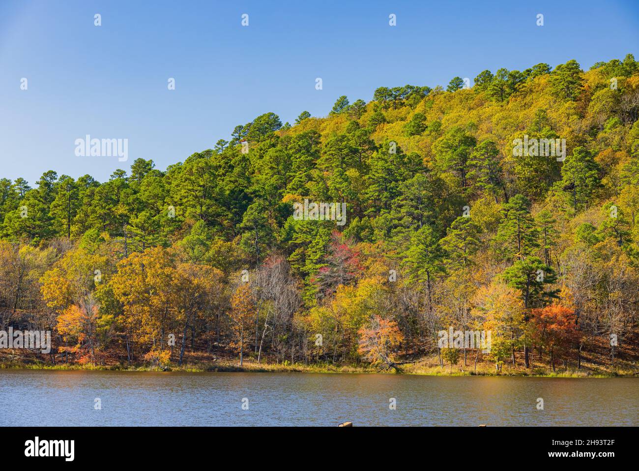 Nature autumn fall color of Robbers Cave State Park at Oklahoma Stock ...
