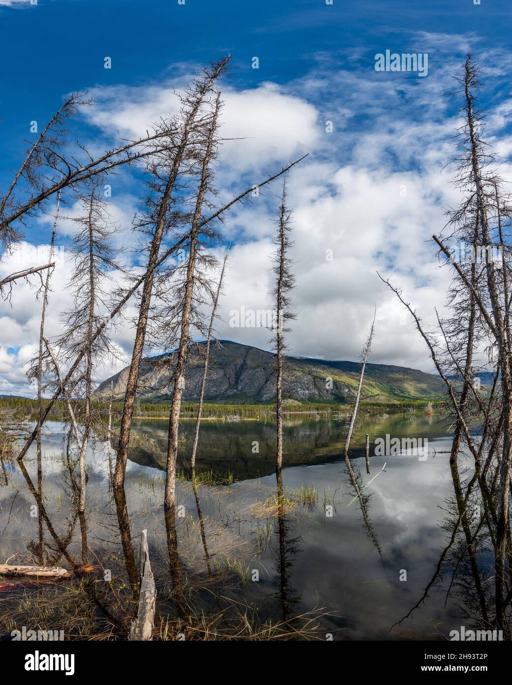 Mountain landscape in northern Canada seen during the summer time with ...