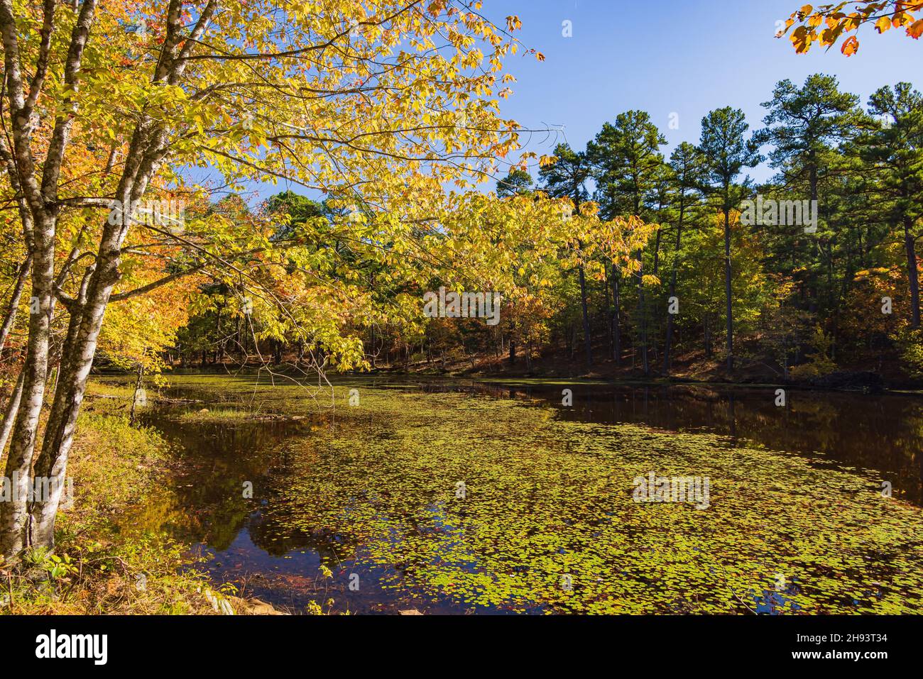 Nature autumn fall color of Robbers Cave State Park at Oklahoma Stock ...