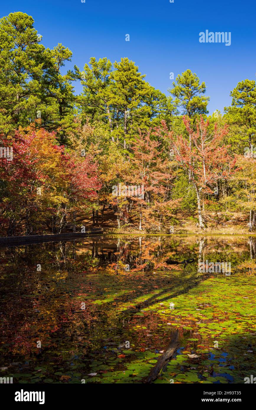 Nature autumn fall color of Robbers Cave State Park at Oklahoma Stock ...