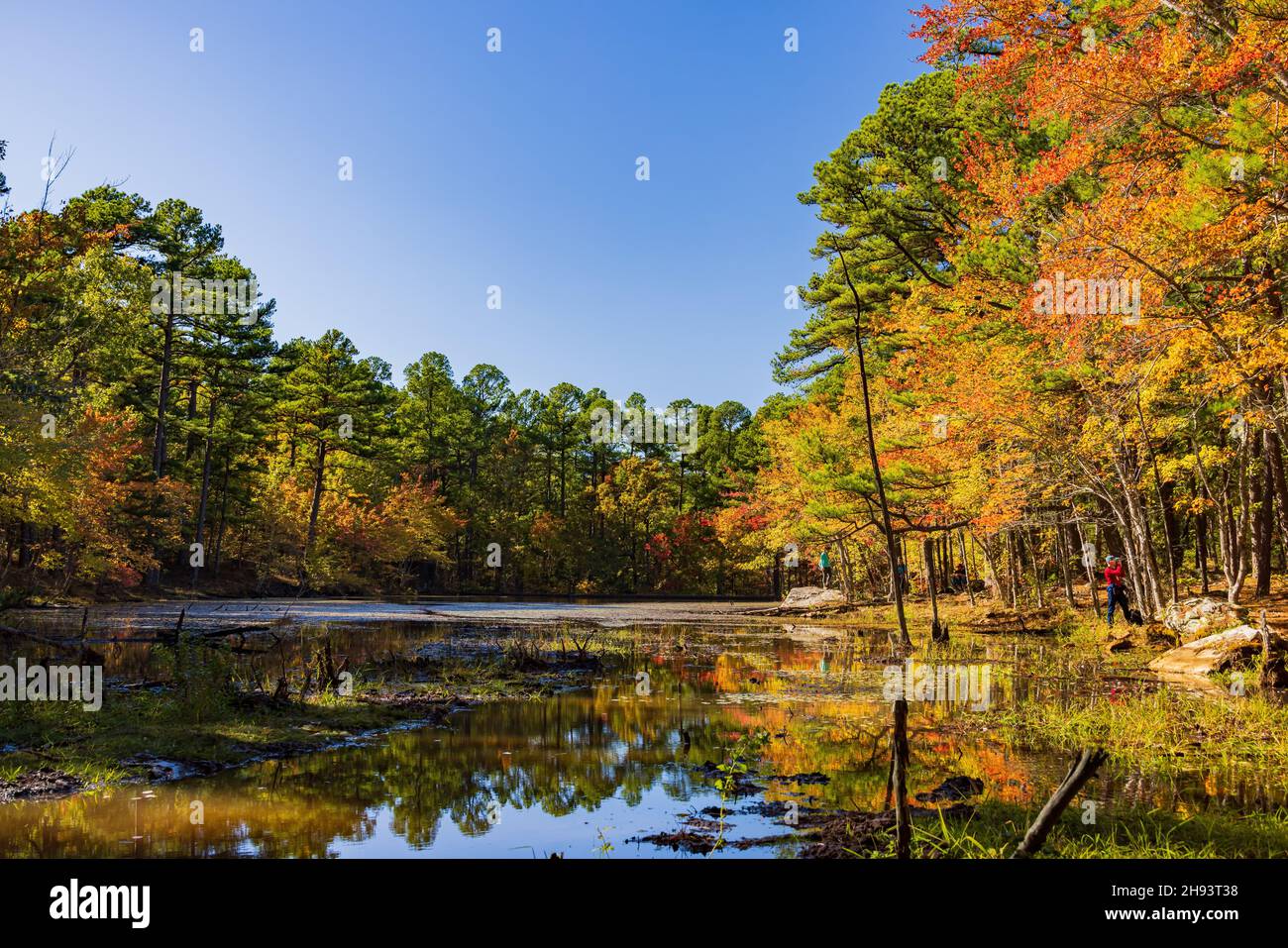 Nature autumn fall color of Robbers Cave State Park at Oklahoma Stock ...