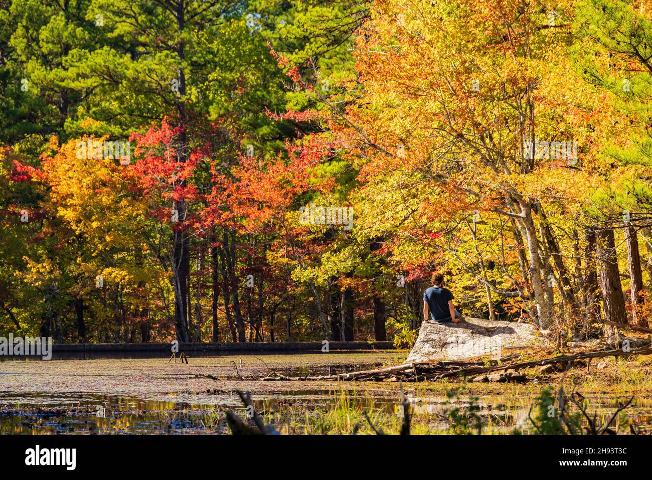 People seeing the nature autumn fall color of Robbers Cave State Park ...