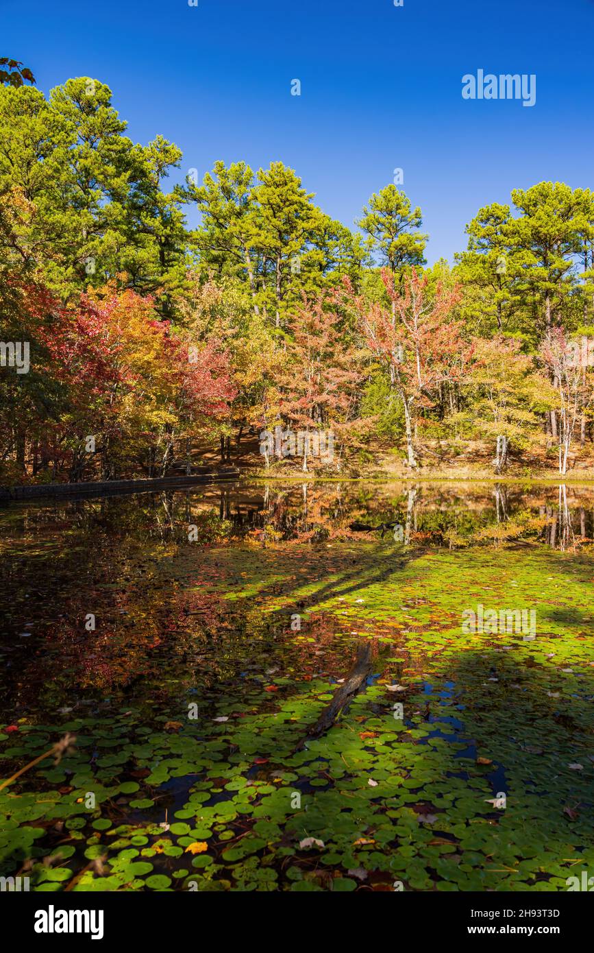 Nature autumn fall color of Robbers Cave State Park at Oklahoma Stock ...