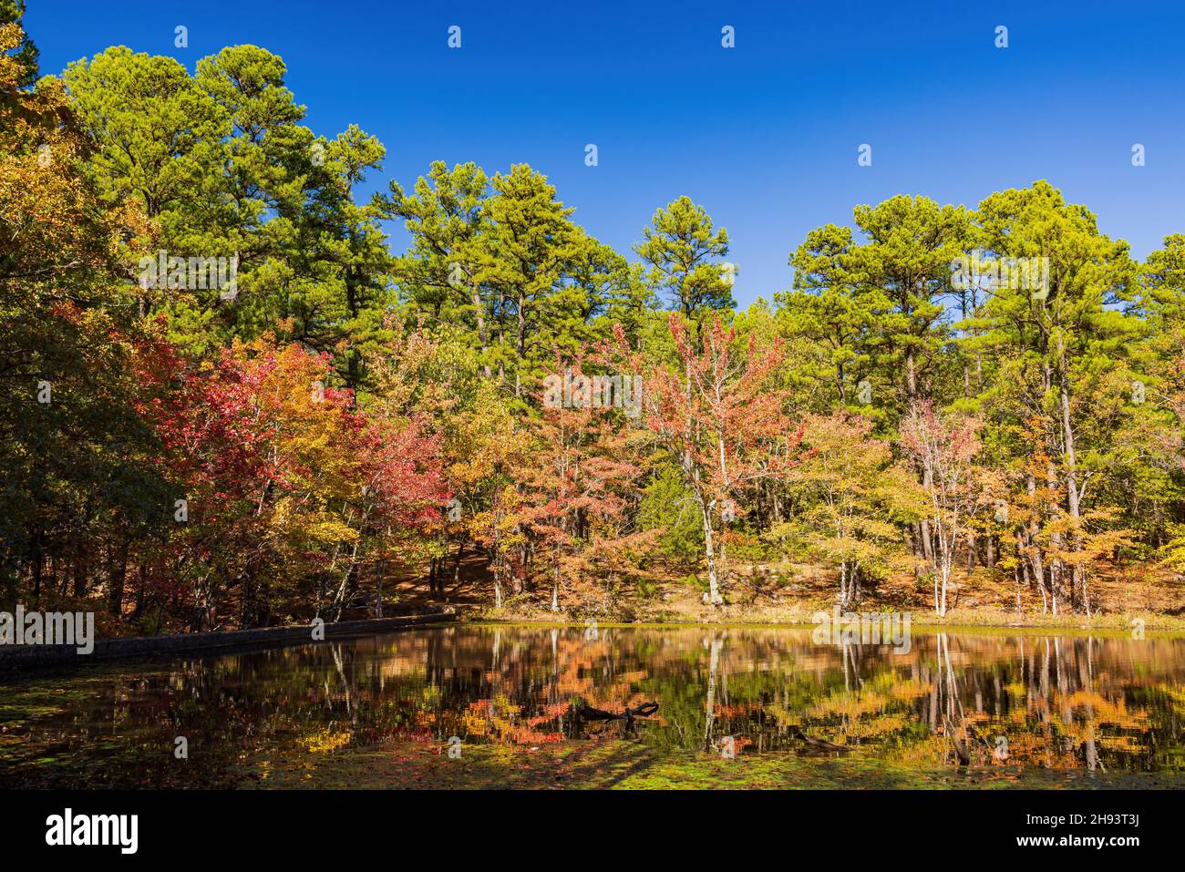 Nature autumn fall color of Robbers Cave State Park at Oklahoma Stock ...