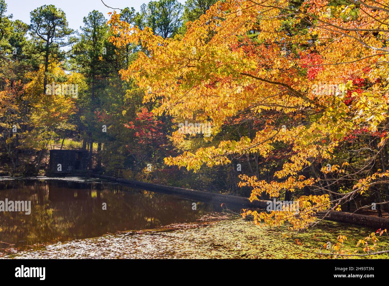 Nature autumn fall color of Robbers Cave State Park at Oklahoma Stock ...