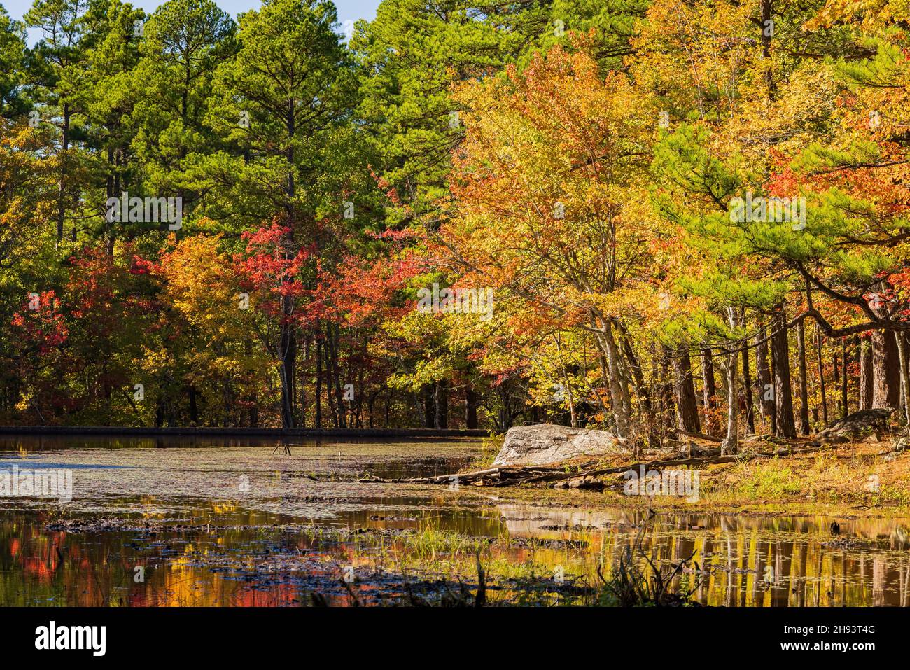 Nature autumn fall color of Robbers Cave State Park at Oklahoma Stock ...