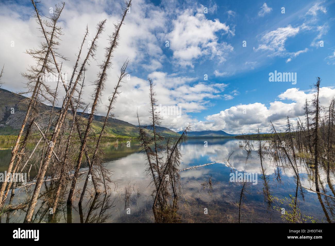 Mountain landscape in northern Canada seen during the summer time with ...