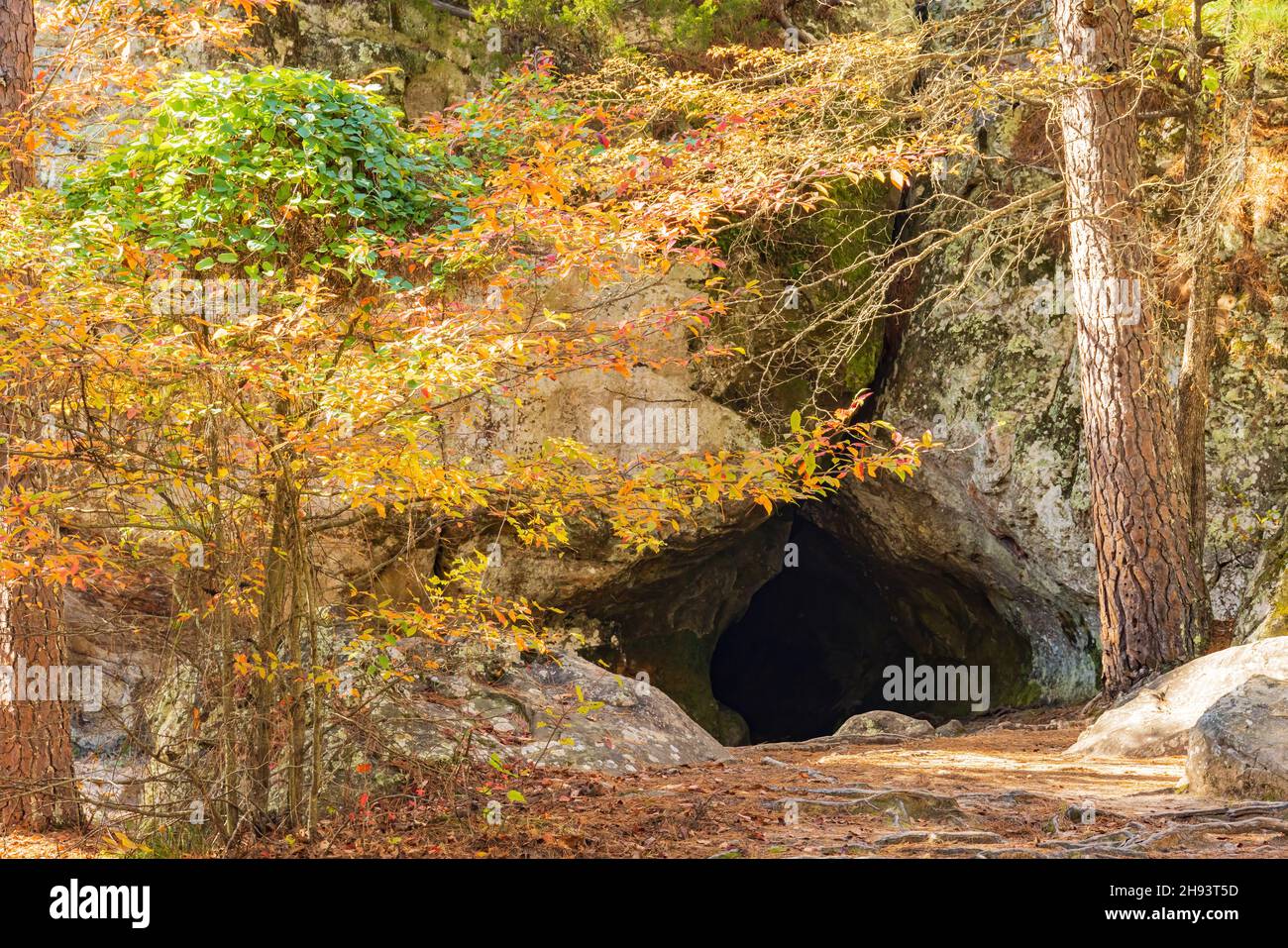 Nature cave of Robbers Cave State Park at Oklahoma Stock Photo - Alamy