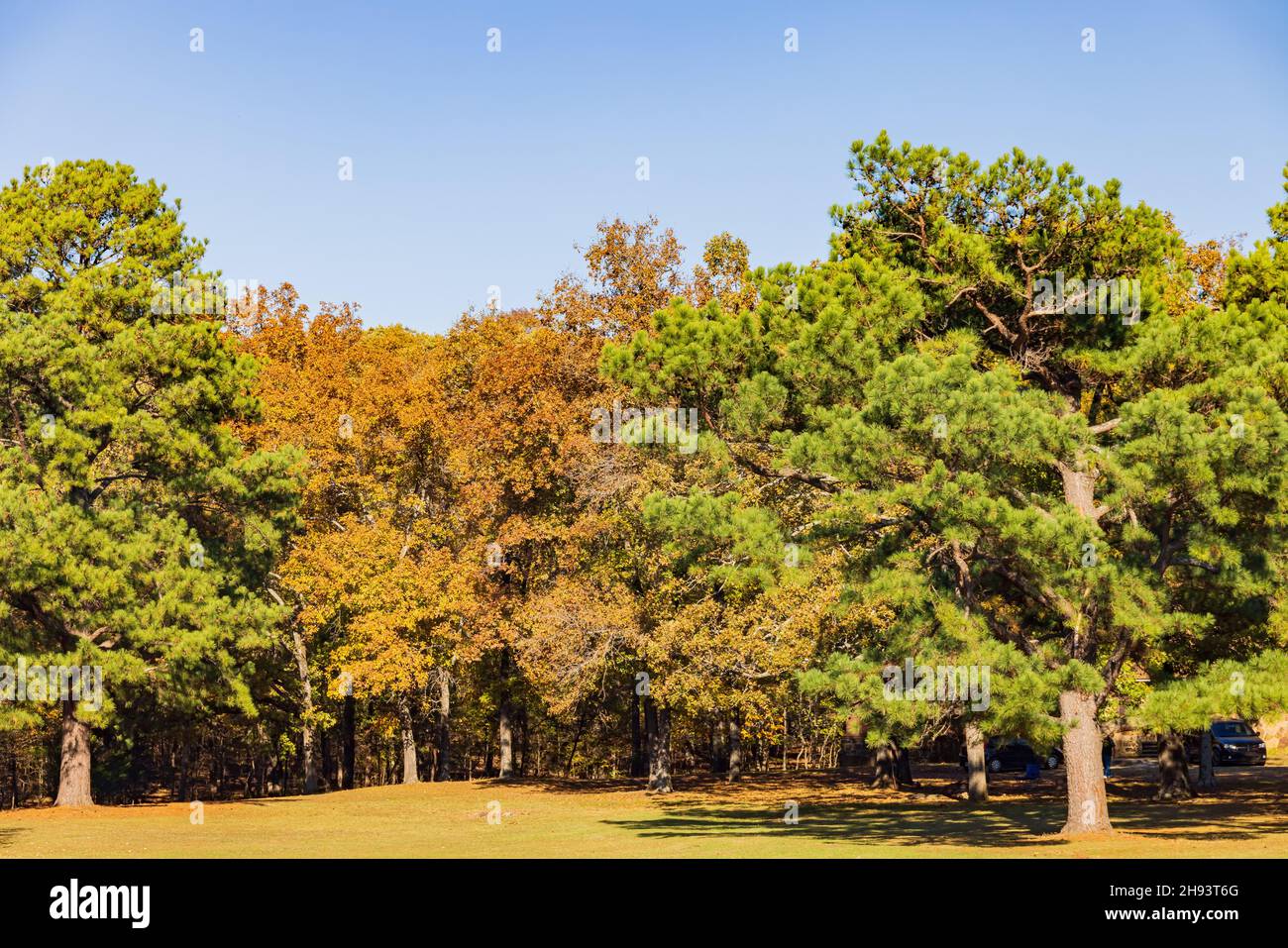 Nature autumn fall color of Greenleaf State Park at Oklahoma Stock ...