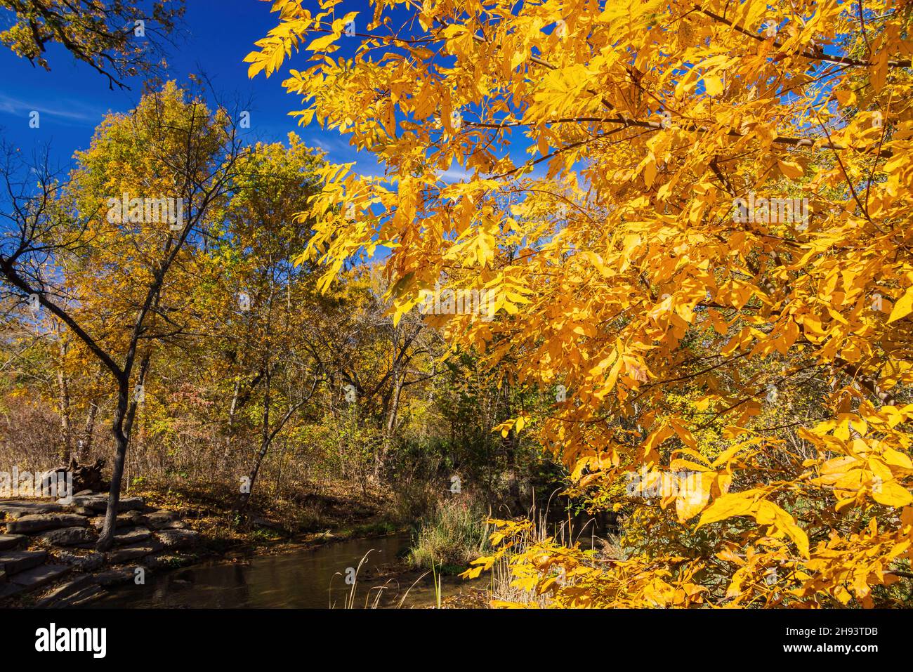 Fall color of the nature trail in Chickasaw National Recreation Area at ...